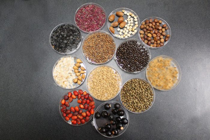 EL BANCO DE GERMOPLASMA VEGETAL DE COAHUILA FORTALECE LA BIODIVERSIDAD ...